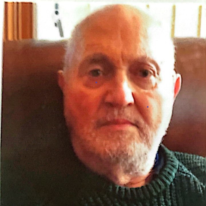 Councillors - North Hill Parish Council